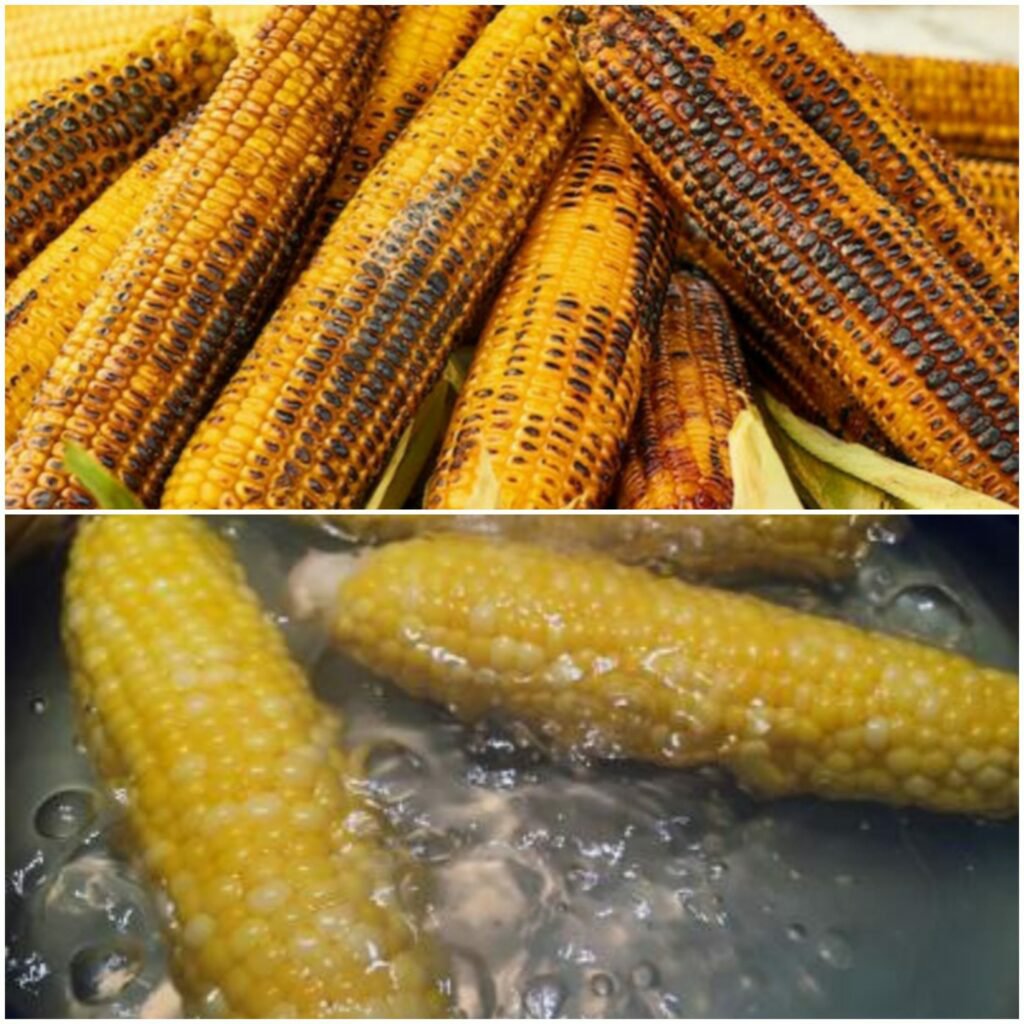 Roasted Corn or Boiled Corn- which is healthier? - Nutrition Digests