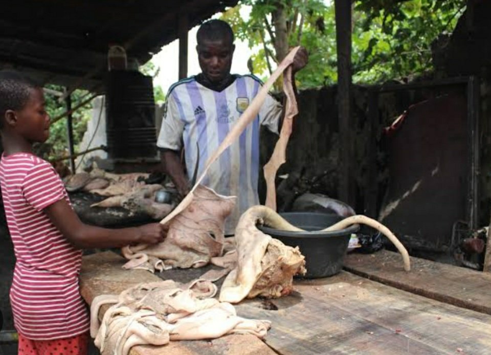 Is eating cowskin (ponmo) harmful? - Nutrition Digests